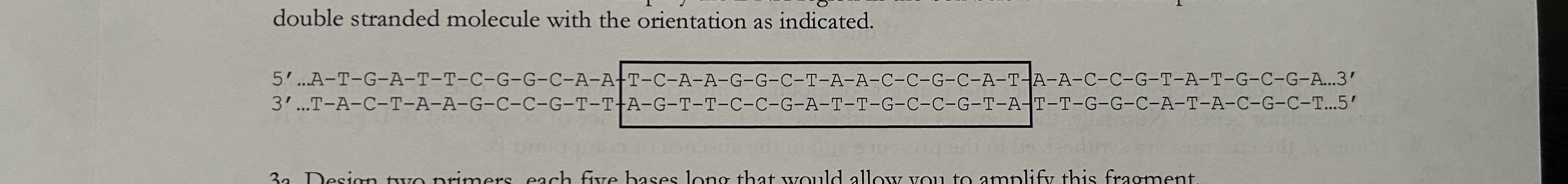 Solved You would like to use PCR to amplify the DNA region | Chegg.com
