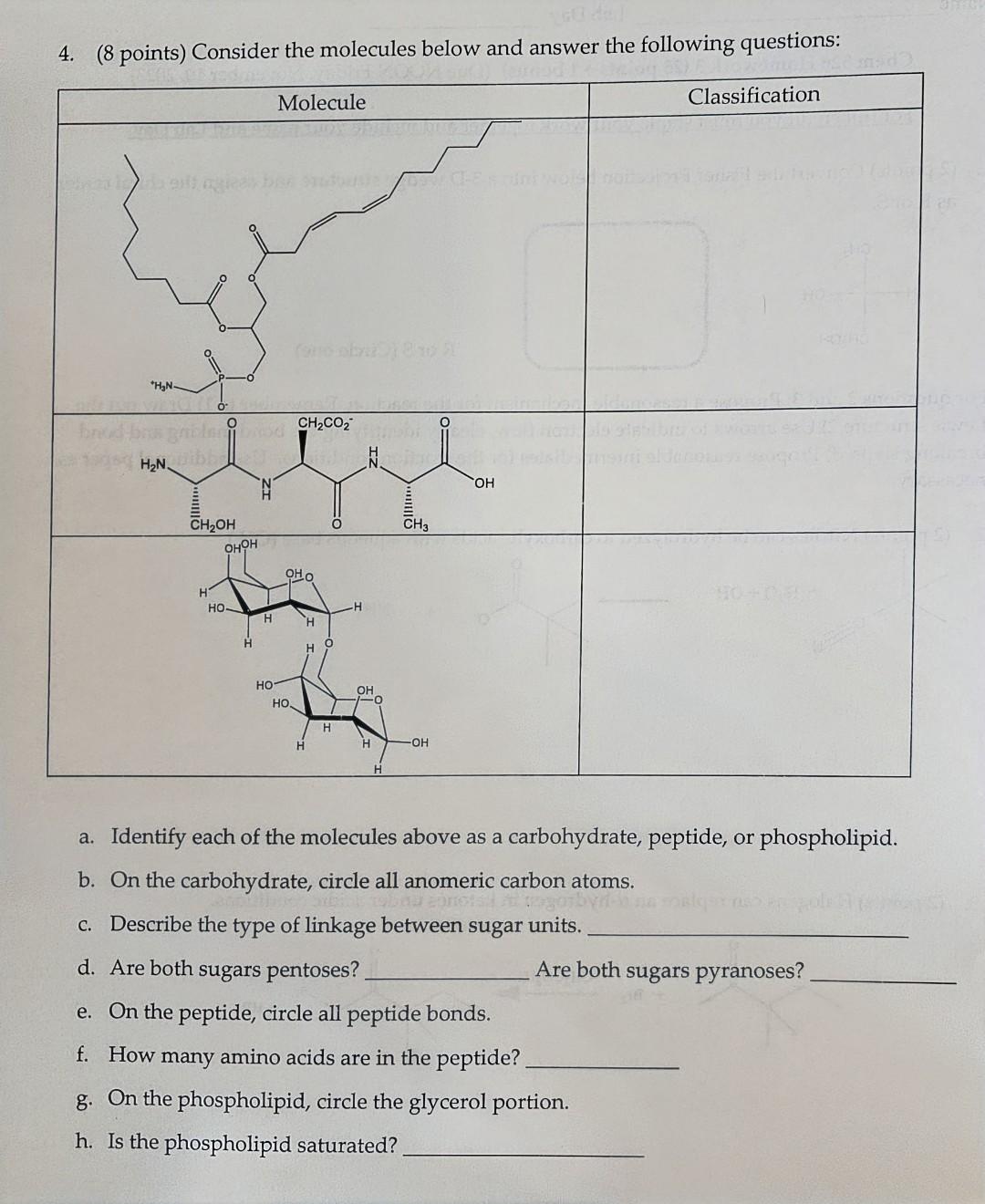 Solved 4. (8 points) Consider the molecules below and answer | Chegg.com