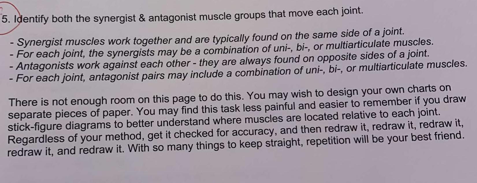 Solved - a - 5. Identify both the synergist & antagonist | Chegg.com