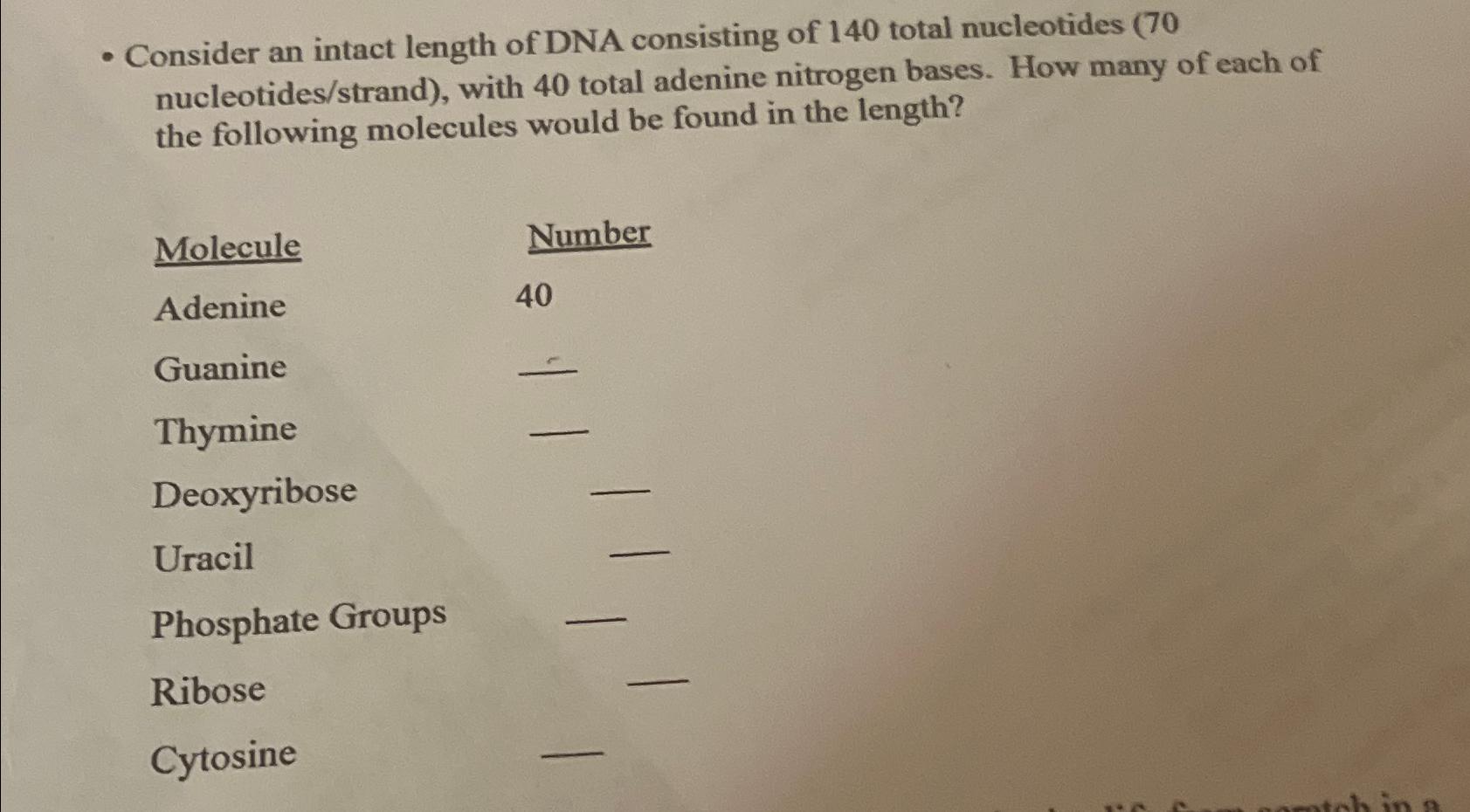 Solved Consider an intact length of DNA consisting of 140 | Chegg.com