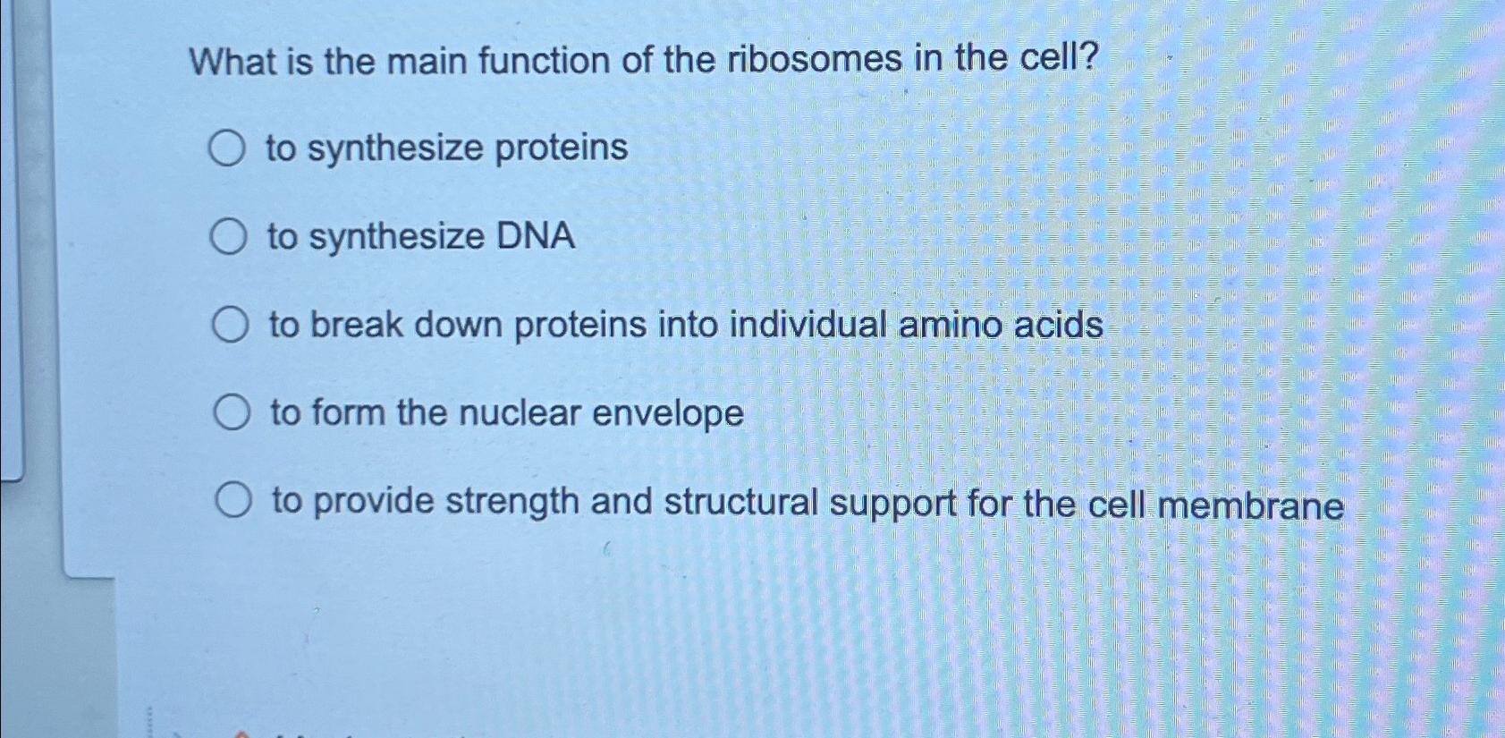 Solved What is the main function of the ribosomes in the | Chegg.com