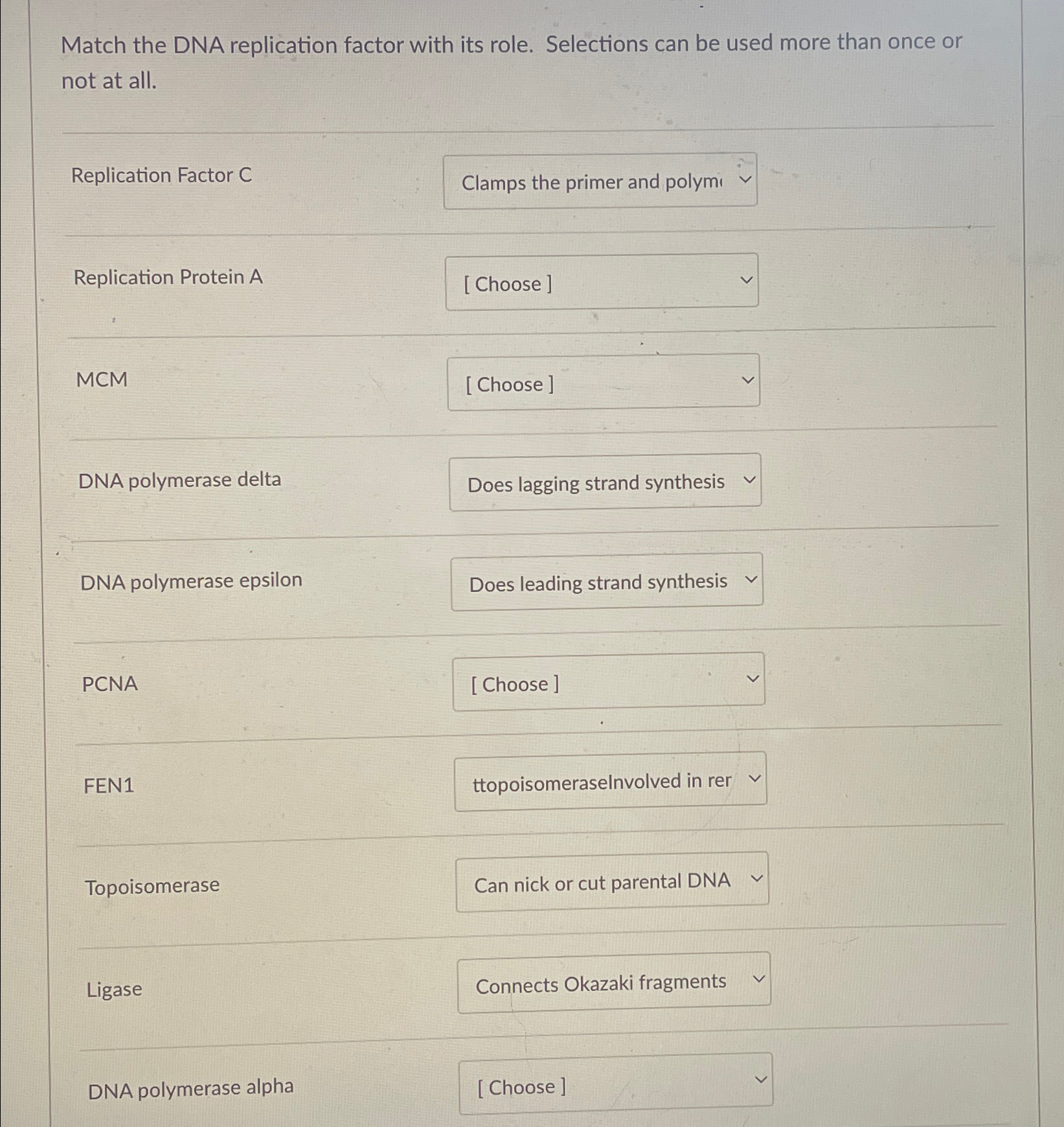 Solved Match the DNA replication factor with its role. | Chegg.com