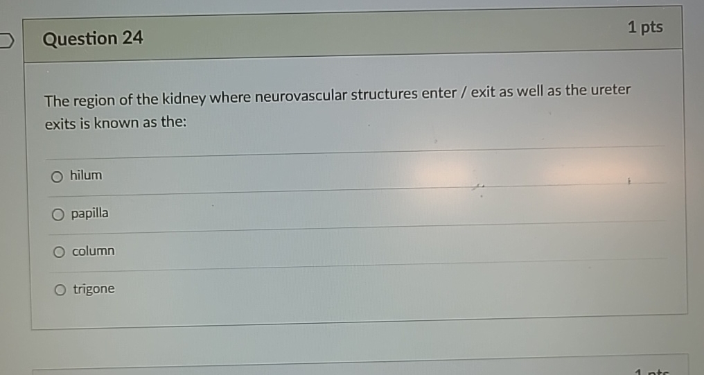 Solved Question 241 ﻿ptsThe region of the kidney where | Chegg.com