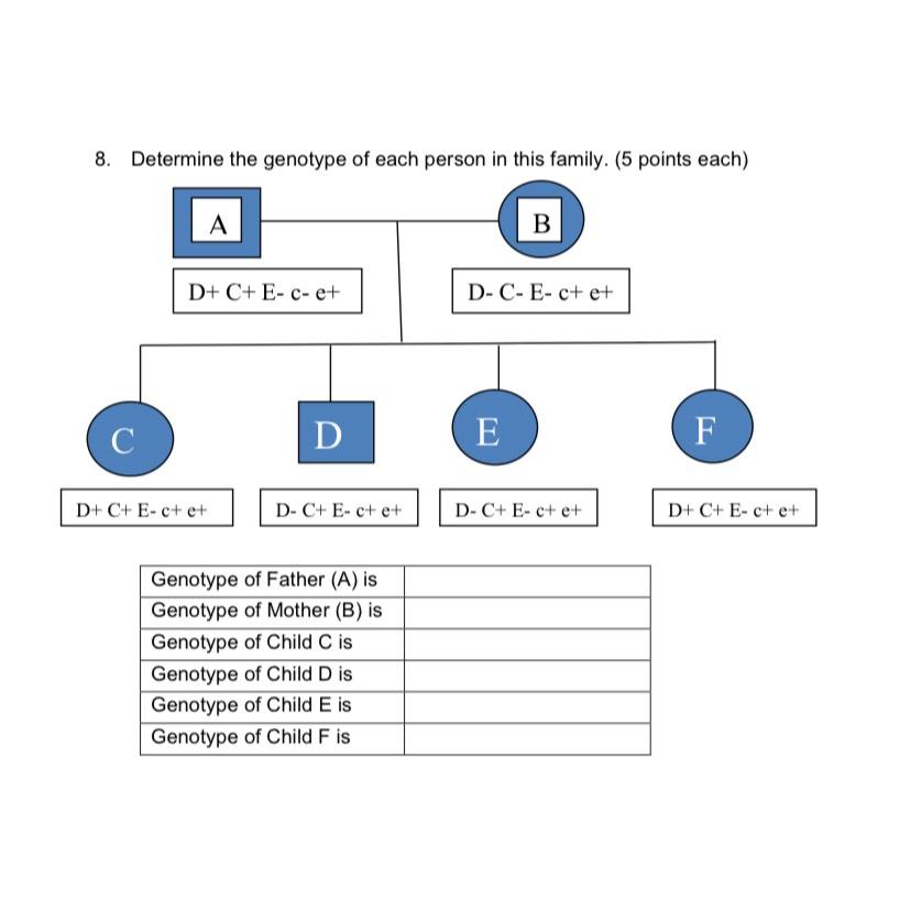Solved Determine the genotype of each person in this family. | Chegg.com