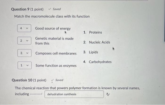 Solved Match the macromolecule class with its function Good | Chegg.com