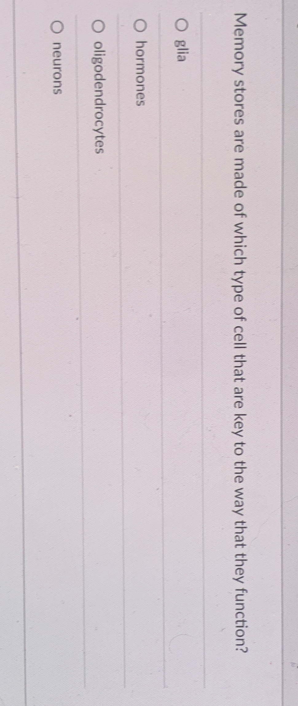 Solved Memory stores are made of which type of cell that are | Chegg.com