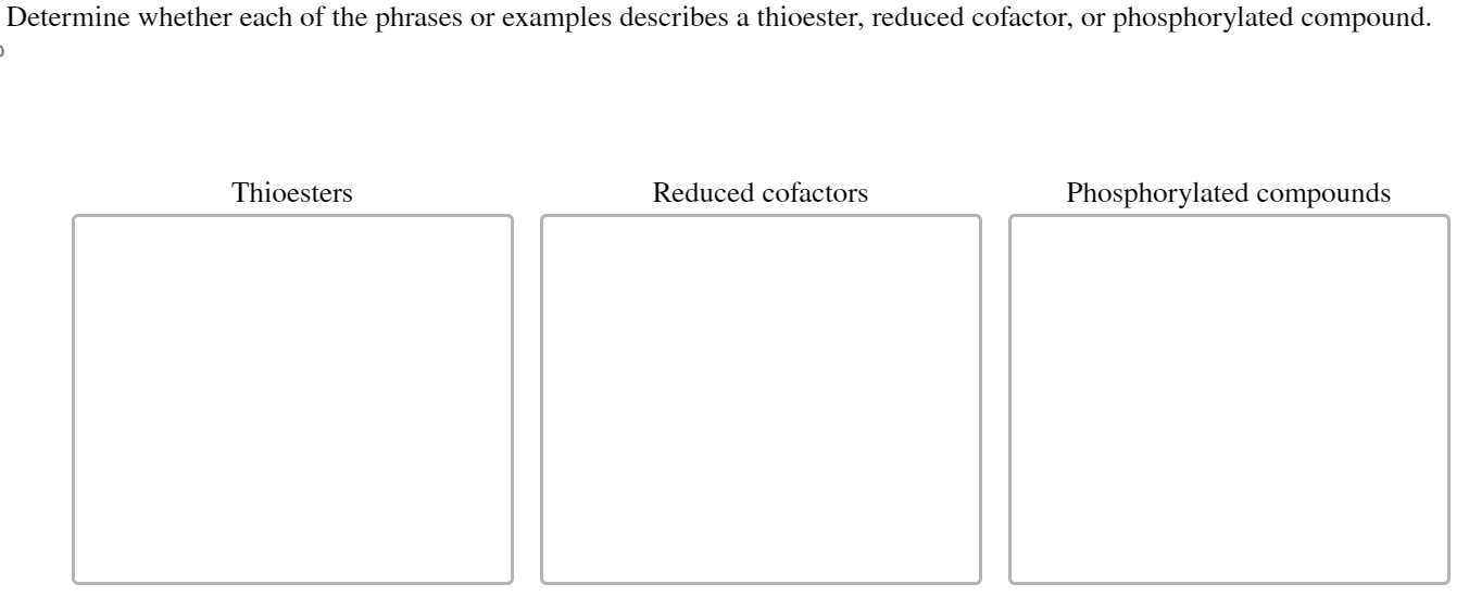 Solved Determine Whether Each Of The Phrases Or Examples 6947