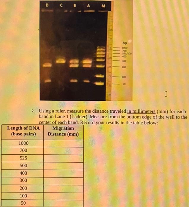 Solved Please Help With Table Chegg