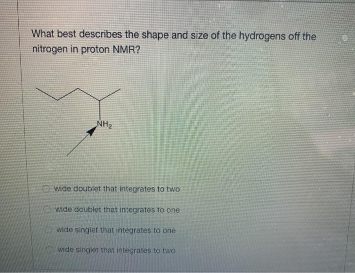 Solved Name the following compound NH2 (E. | Chegg.com