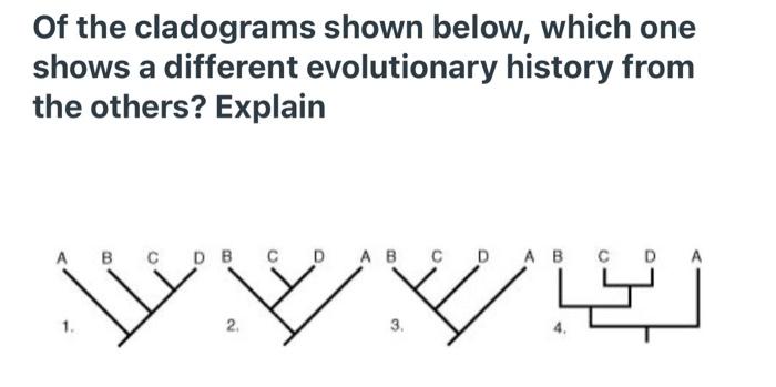 Solved Of the cladograms shown below, which one shows a | Chegg.com