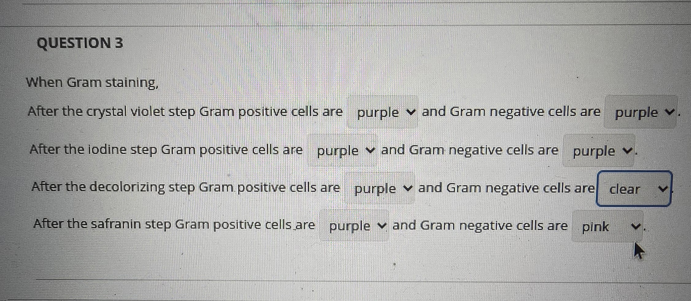 Solved QUESTION 3When Gram staining,After the crystal violet | Chegg.com