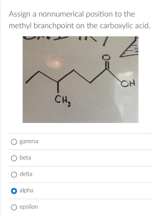 Solved Assign a nonnumerical position to the methyl | Chegg.com