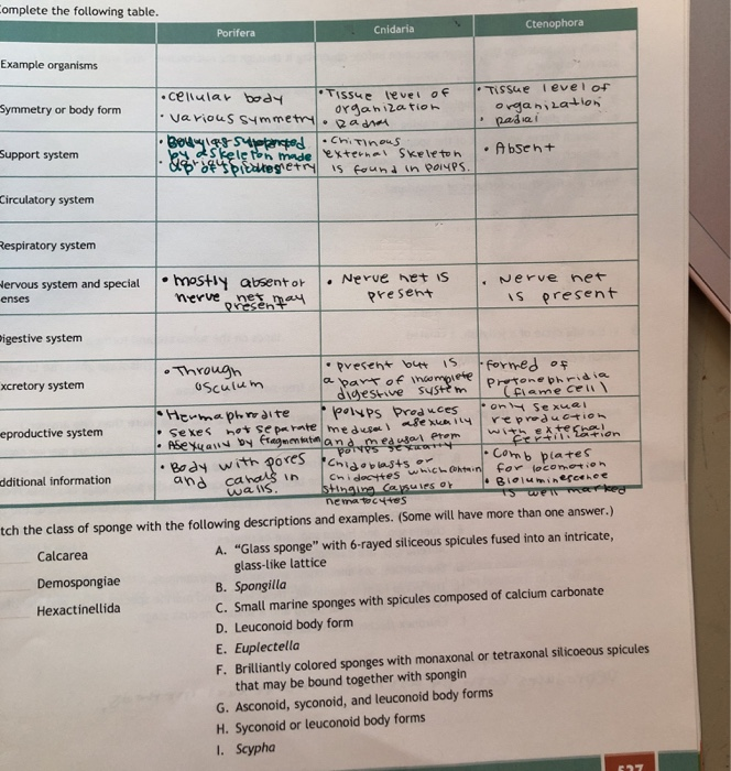 Solved Complete the following table. Cnidaria Ctenophora | Chegg.com