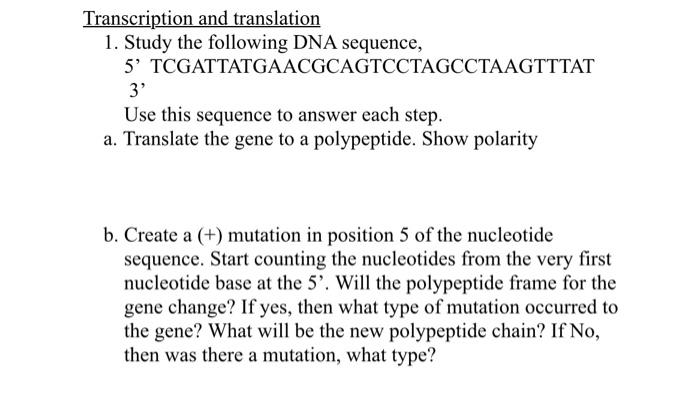 Solved Transcription and translation 1. Study the following | Chegg.com