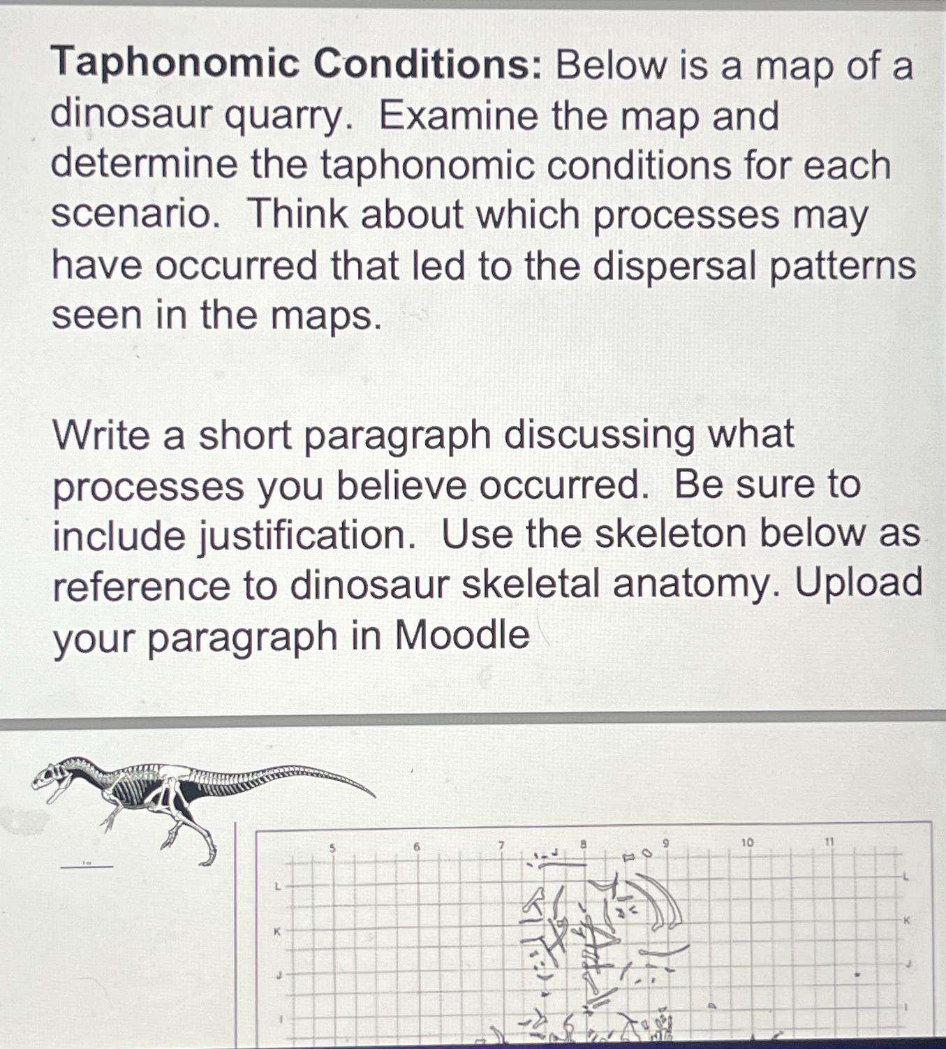 Solved Taphonomic Conditions: Below is a map of a dinosaur | Chegg.com