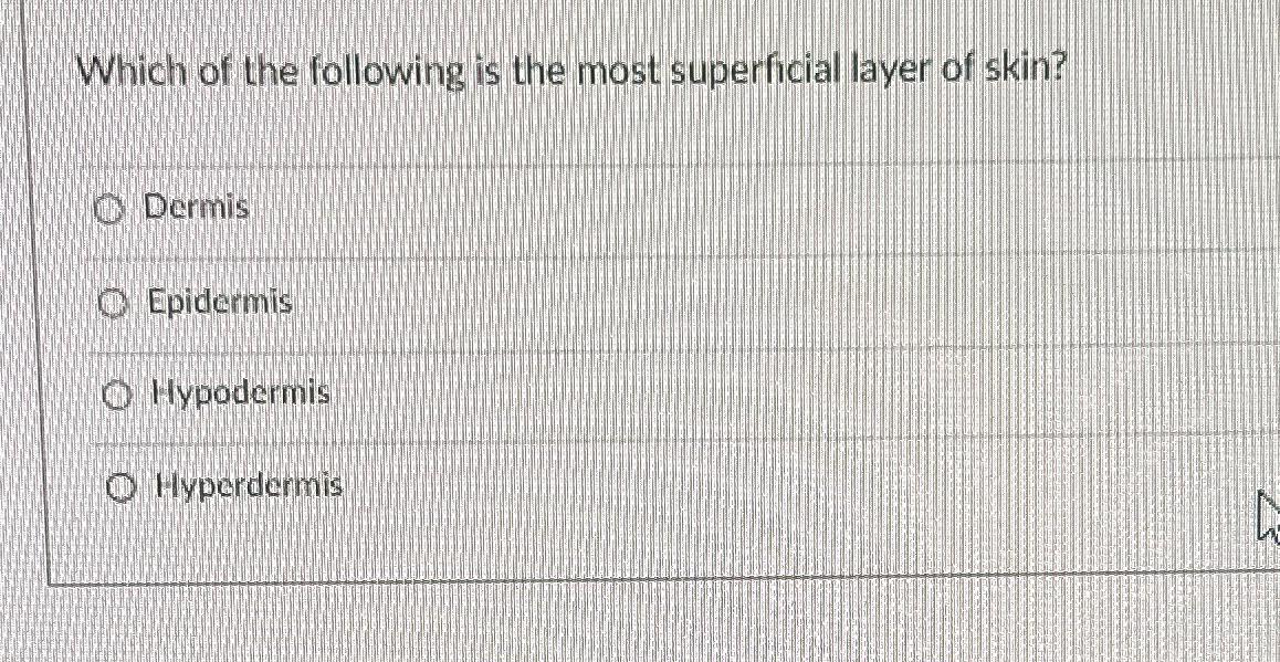 Solved Which of the following is the most superficial layer | Chegg.com