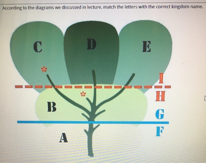 According to the diagrams we discussed in lecture, | Chegg.com