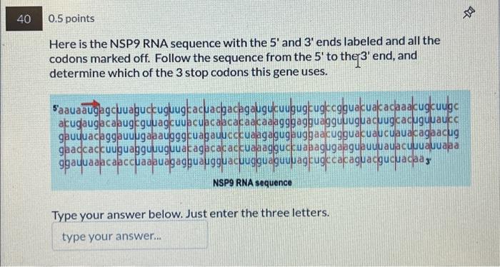 Solved 40 0.5 points Here is the NSP9 RNA sequence with the | Chegg.com