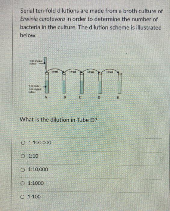 Solved Serial ten-fold dilutions are made from a broth | Chegg.com