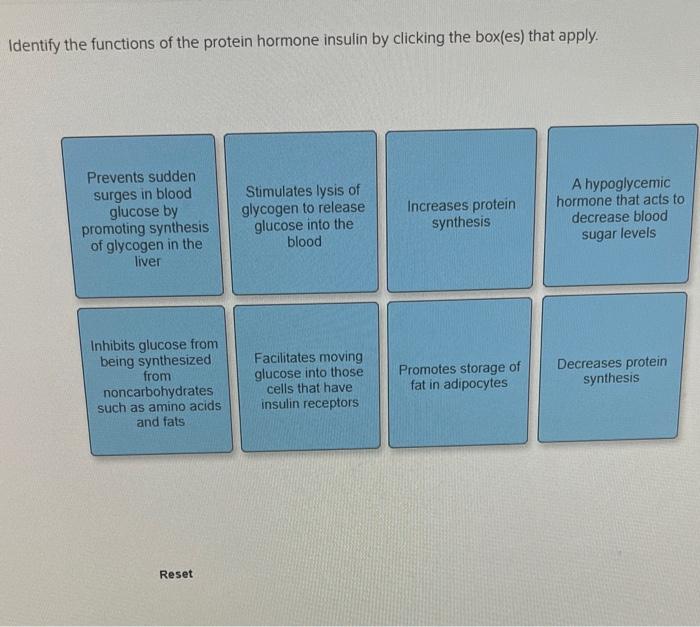 Solved Identify the functions of the protein hormone insulin | Chegg.com