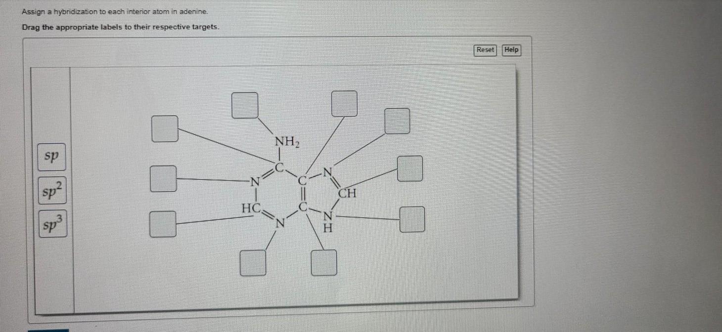 Solved Assign a hybridization to each interior atom in | Chegg.com