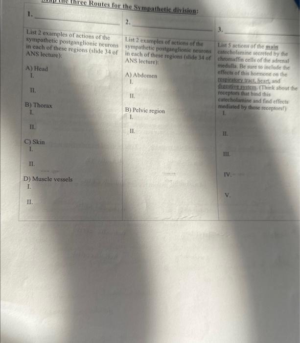 Solved list 2 examples of actions of the sympathetic | Chegg.com