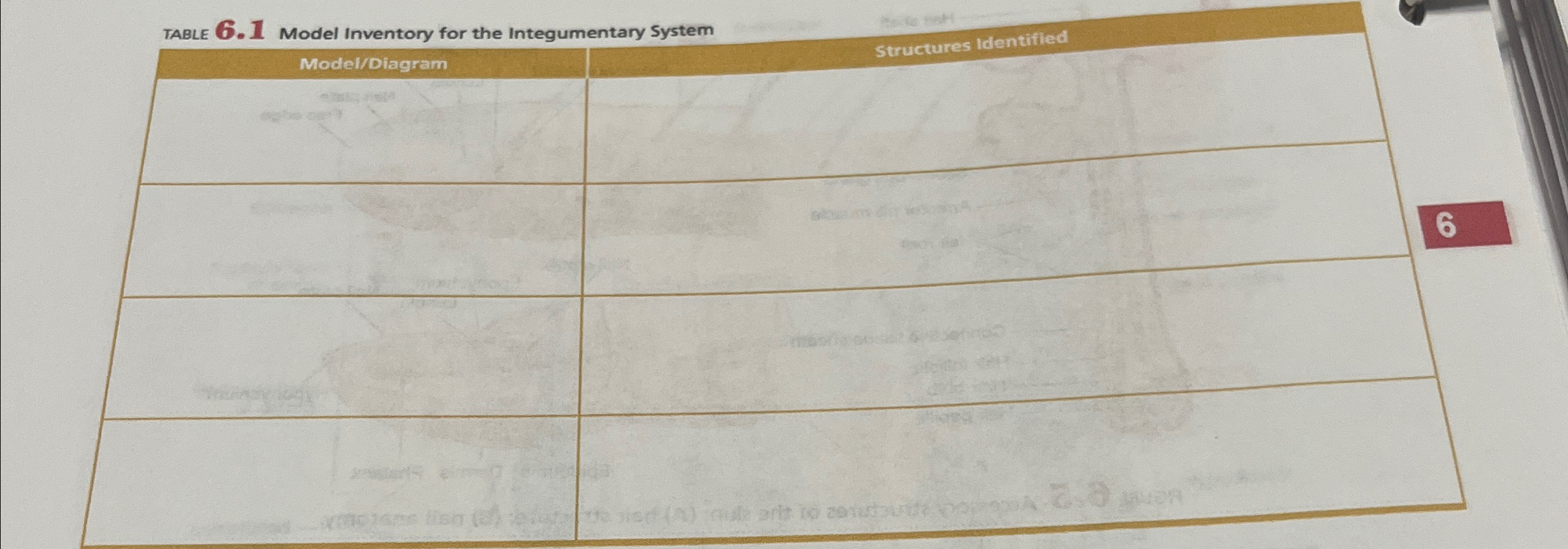 Solved TABLE 6. 1 ﻿Model Inventory for the Integumentary | Chegg.com