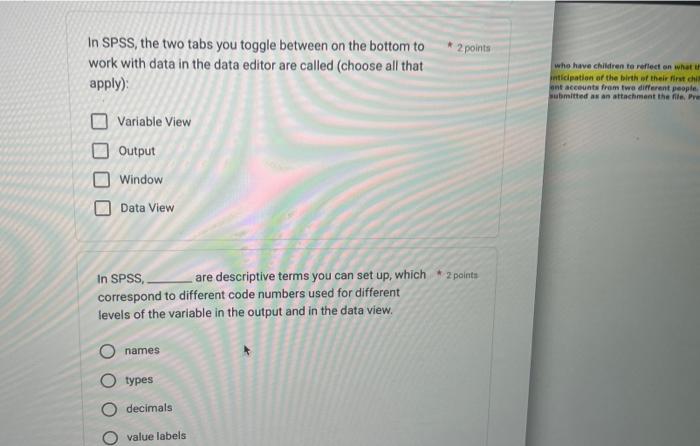 Solved In SPSS, work with apply): Variable View Output | Chegg.com