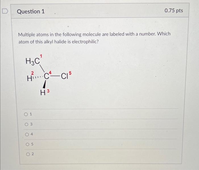 Solved Multiple atoms in the following molecule are labeled | Chegg.com