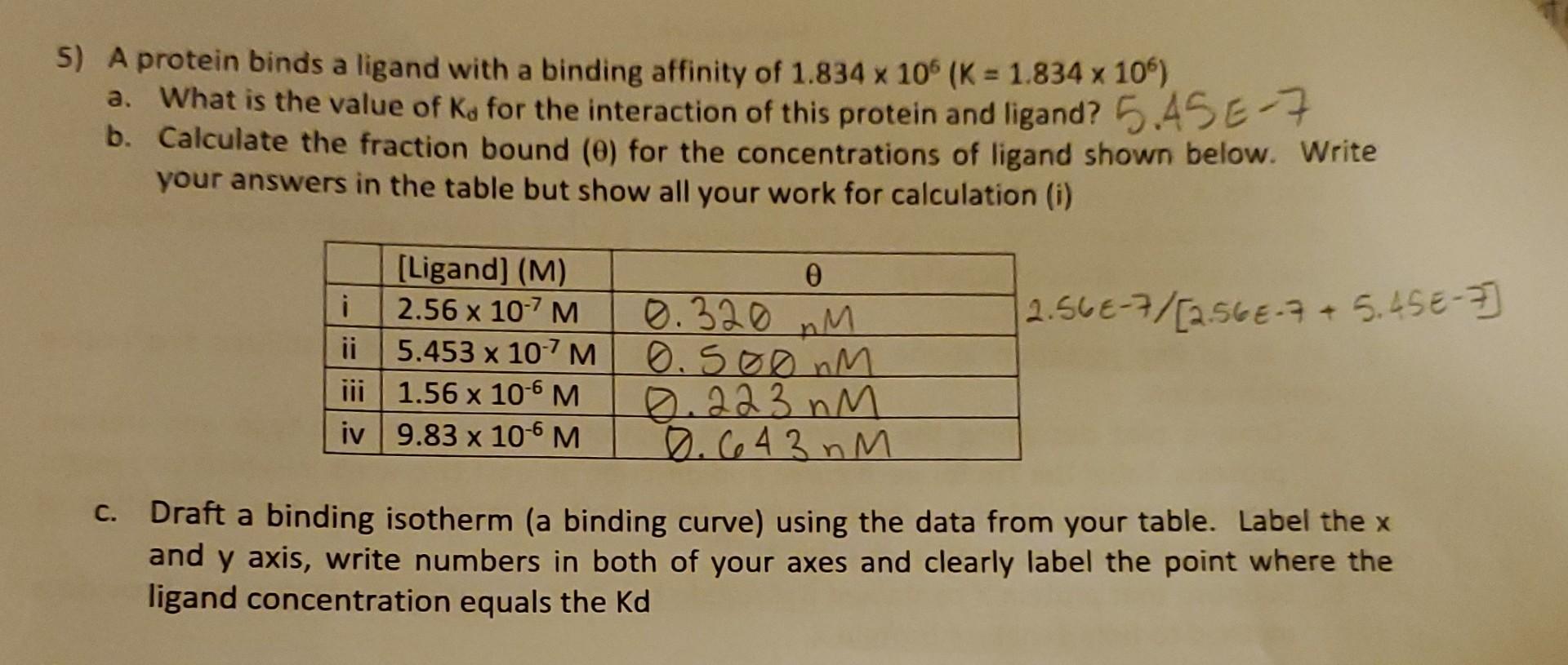 Solved 5) A protein binds a ligand with a binding affinity | Chegg.com