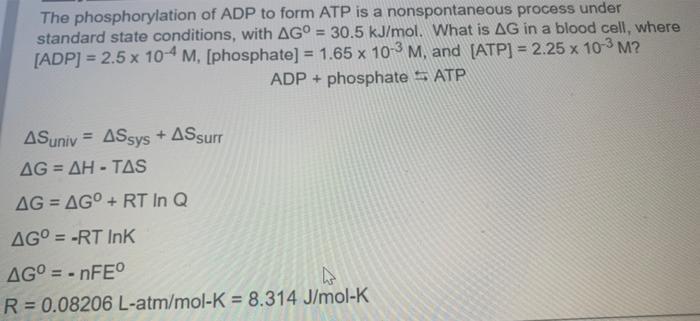 Solved The phosphorylation of ADP to form ATP is a | Chegg.com