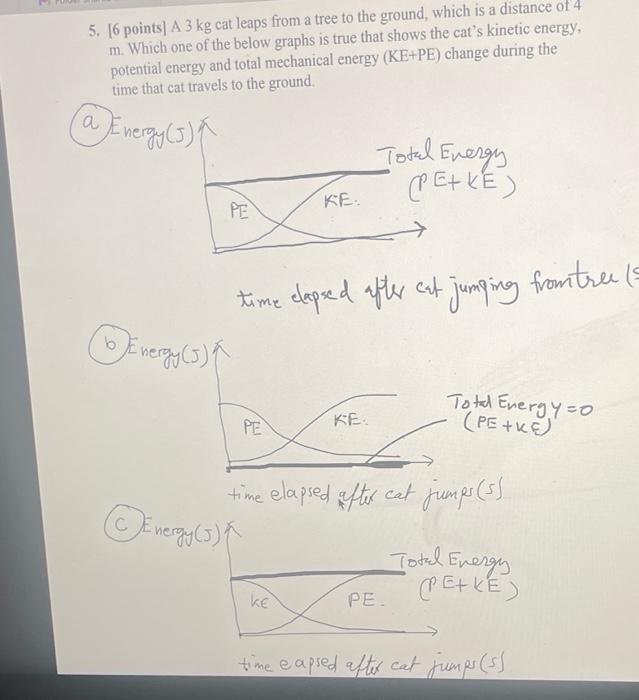 Solved 5. [6 points] A3 kg cat leaps from a tree to the | Chegg.com