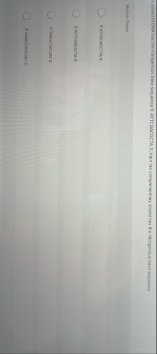Solved e strand of DNA has the nitrogenous base sequence 5 ' | Chegg.com