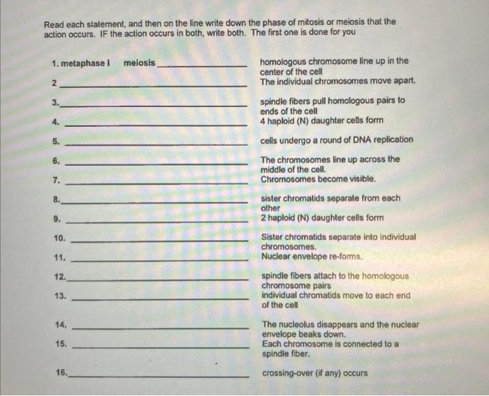 Solved Read each statement, and then on the line write down | Chegg.com