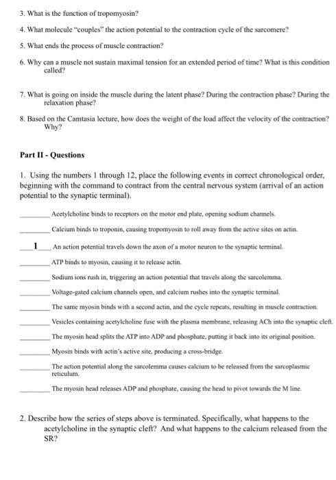 Solved MUSCLES Part I - Define the following terms. Read lab | Chegg.com