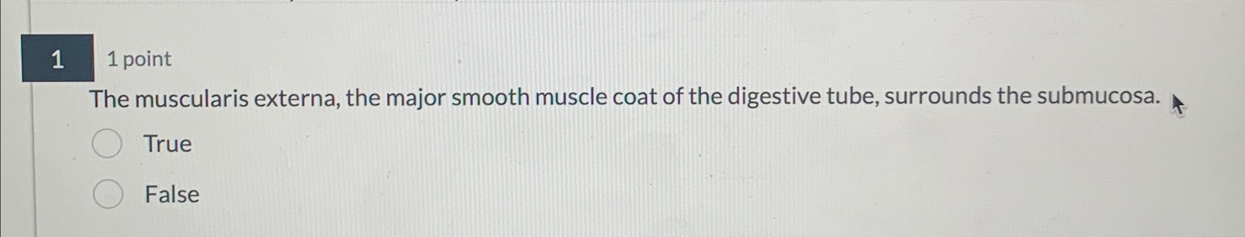 Solved 11 ﻿pointThe muscularis externa, the major smooth | Chegg.com