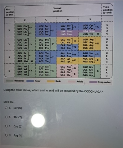 Solved Using the table above, which amino acid will be | Chegg.com