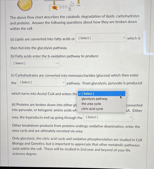 Solved you dont have to rewrite the whole thing again.just | Chegg.com
