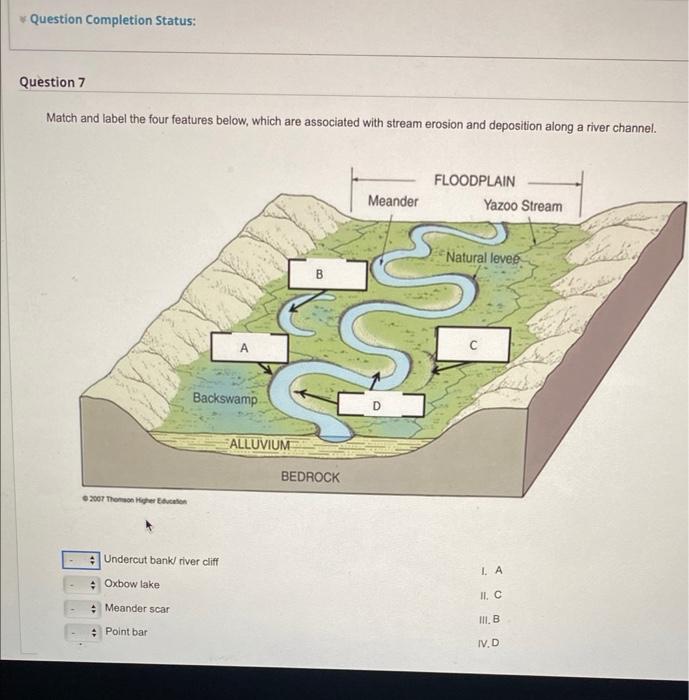 Solved Match and label the four features below, which are | Chegg.com