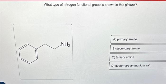 Solved What type of nitrogen functional group is shown in | Chegg.com