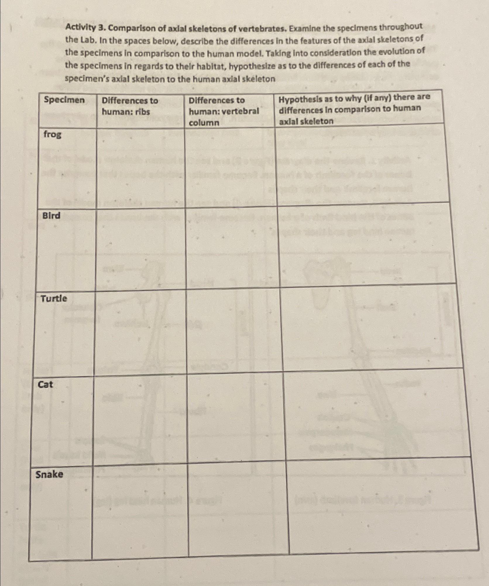 Solved Activity 3. ﻿Comparison of axial skeletons of | Chegg.com