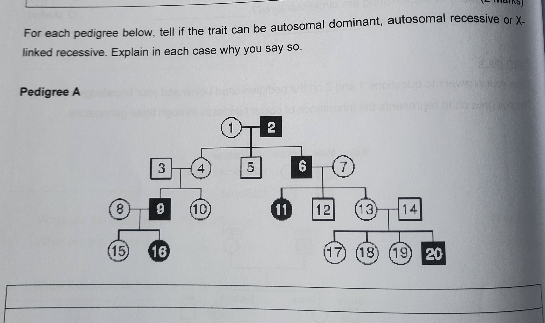 Solved For each pedigree below, tell if the trait can be | Chegg.com