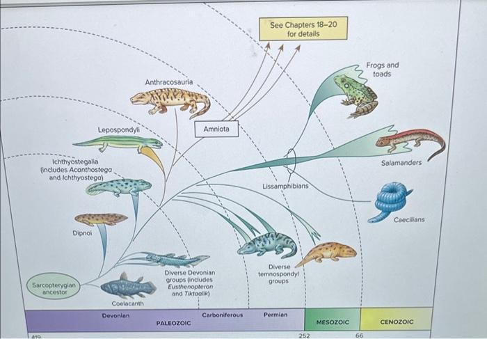 Solved Drag the following names and characters to their | Chegg.com