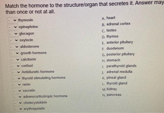 Solved Use the following image to match the hormone to the | Chegg.com