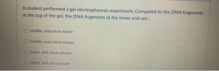 Solved A student performed a gel electrophoresis experiment. | Chegg.com