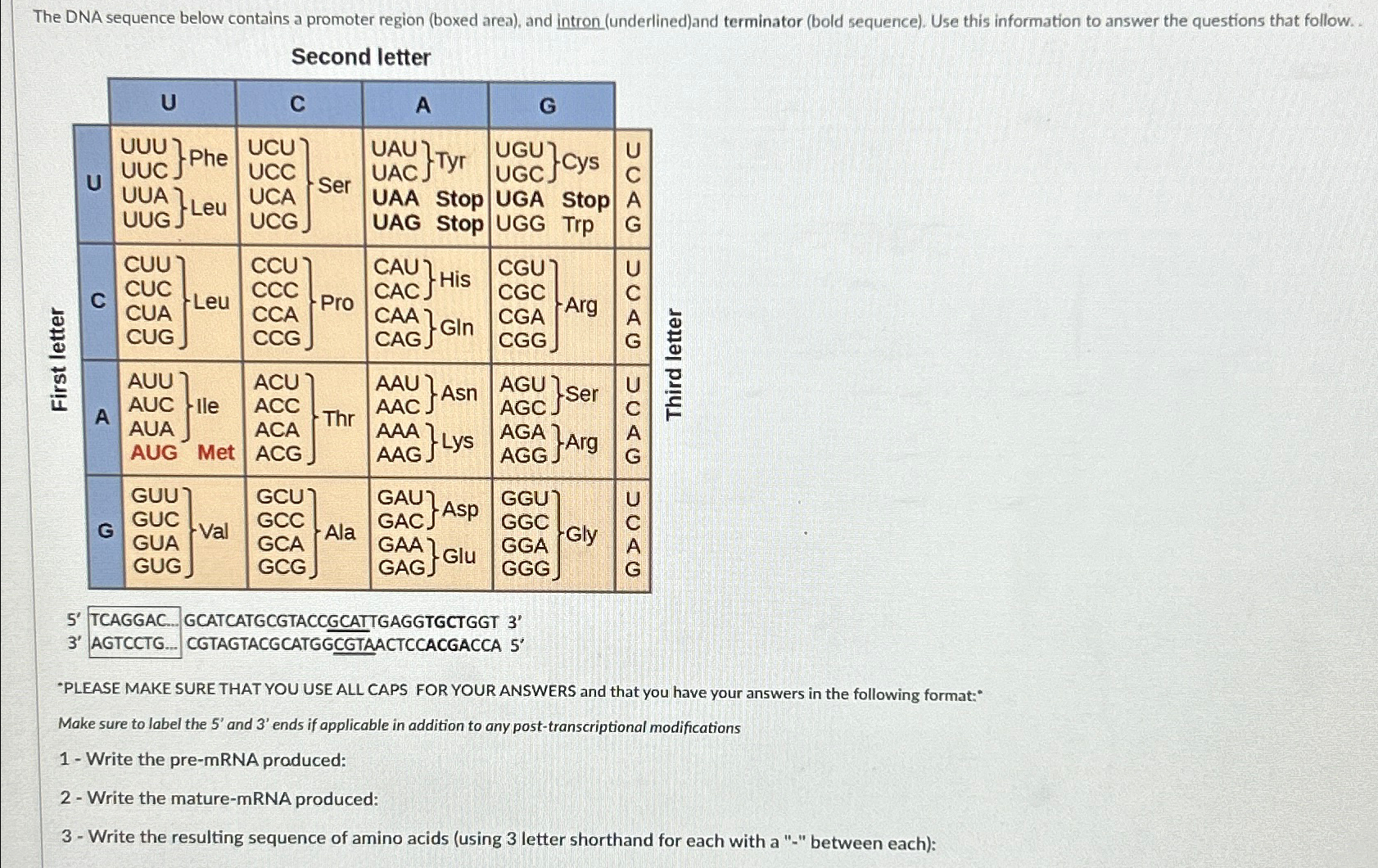 Solved The DNA sequence below contains a promoter region | Chegg.com