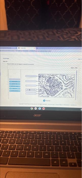MyLab and Mastering | Chegg.com