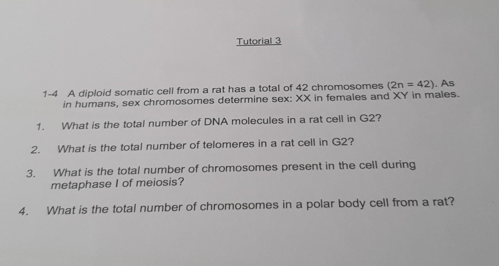 Solved 1-4 A diploid somatic cell from a rat has a total of | Chegg.com