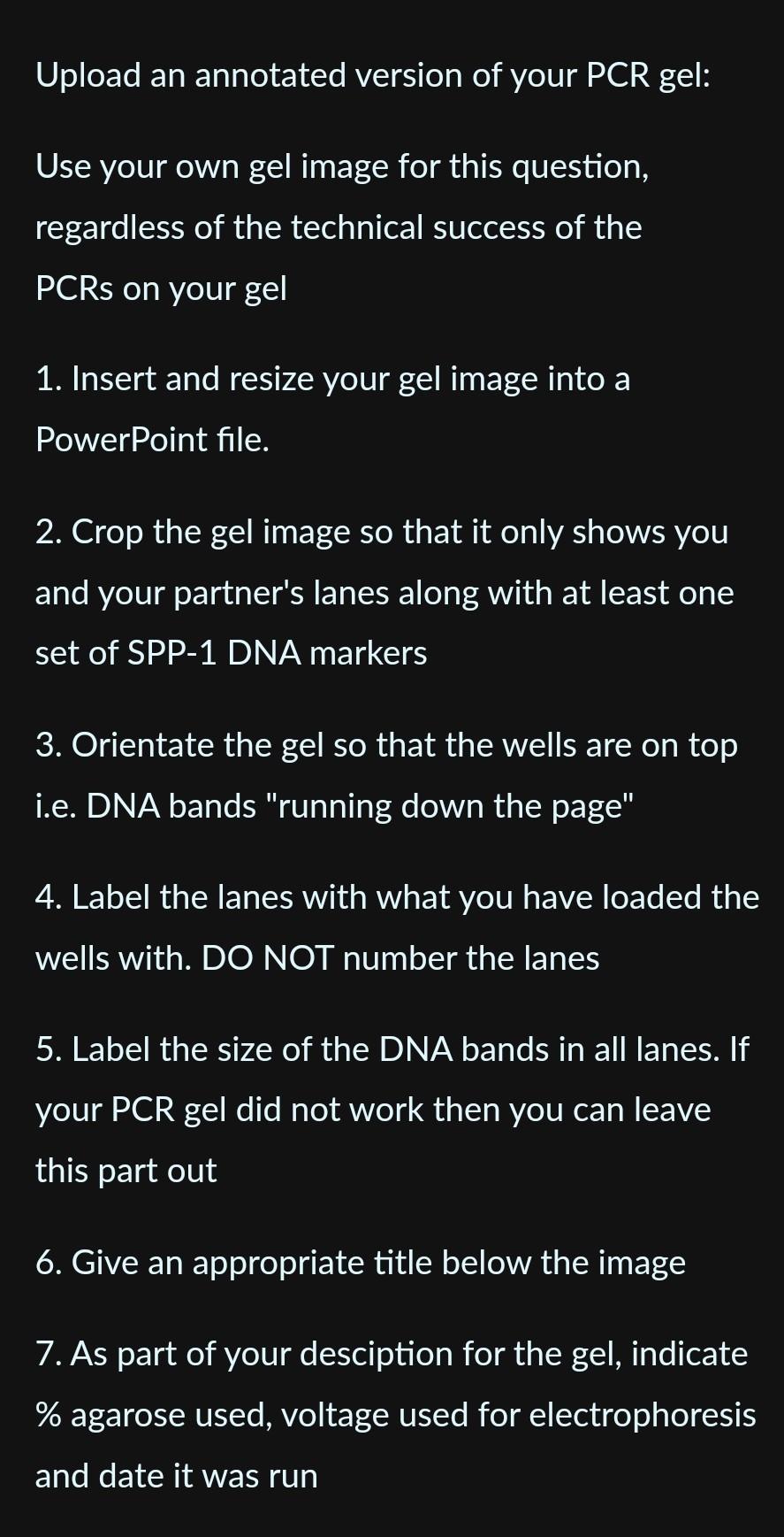 Solved Upload an annotated version of your PCR gel: Use your | Chegg.com