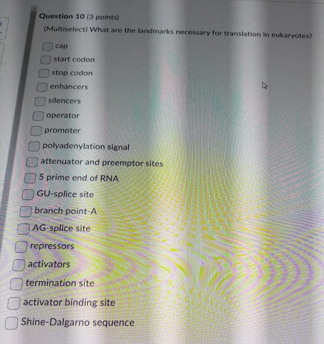 Solved Question 9 (2 points) Why do eukaryotes not have | Chegg.com